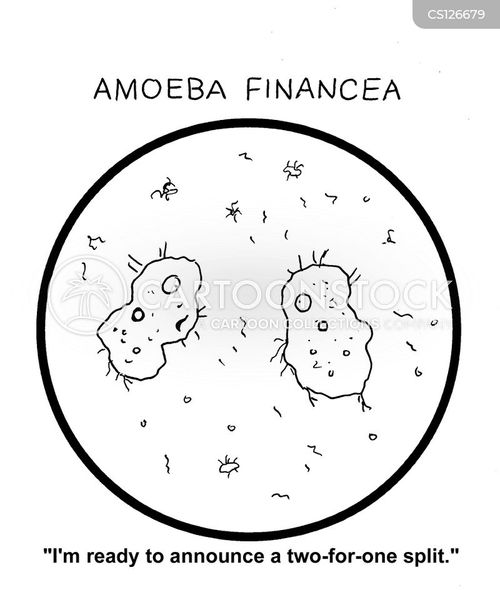 Ameba Cartoons and Comics - funny pictures from CartoonStock