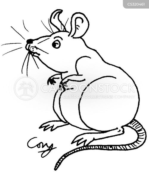 Rastamouse Cartoons and Comics - funny pictures from CartoonStock