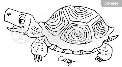 Loggerhead Turtles Cartoons and Comics - funny pictures from CartoonStock