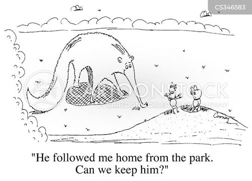 Dim Cartoons and Comics - funny pictures from CartoonStock