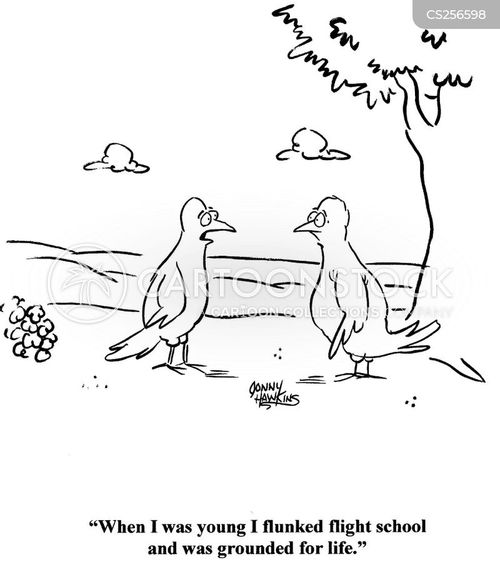 Aviary Cartoons and Comics - funny pictures from CartoonStock