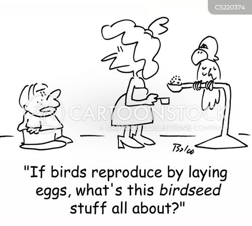 Reproductive Cycle Cartoons and Comics - funny pictures from CartoonStock
