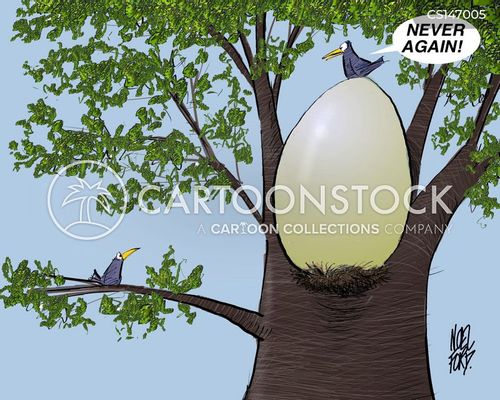 Laying Eggs Cartoons and Comics - funny pictures from CartoonStock