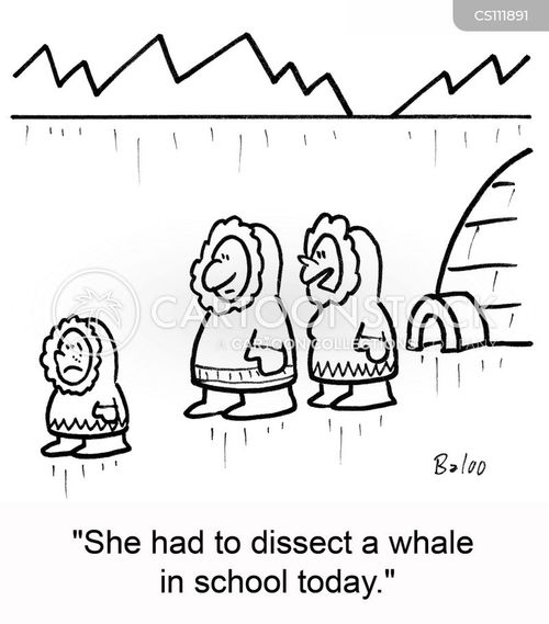 Dissect Cartoons and Comics - funny pictures from CartoonStock