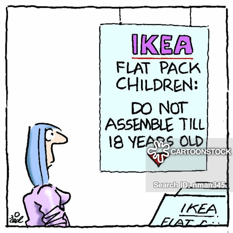 Flat Pack Cartoons and Comics - funny pictures from CartoonStock