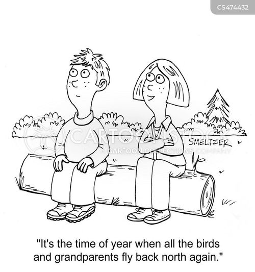 Snowbirds Cartoons and Comics - funny pictures from CartoonStock