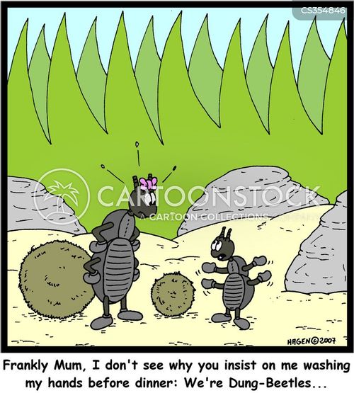 Fire Beetles Cartoons and Comics - funny pictures from CartoonStock