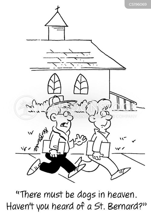 Saint Bernard Cartoons and Comics - funny pictures from CartoonStock