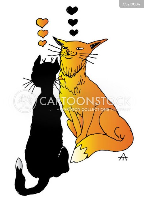 Cat Romance Cartoons and Comics - funny pictures from CartoonStock
