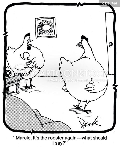 Poultries Cartoons and Comics - funny pictures from CartoonStock