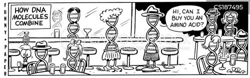 Amino Acid Cartoons and Comics - funny pictures from CartoonStock