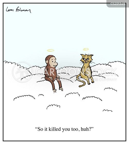 Curious Angels Cartoons and Comics - funny pictures from CartoonStock