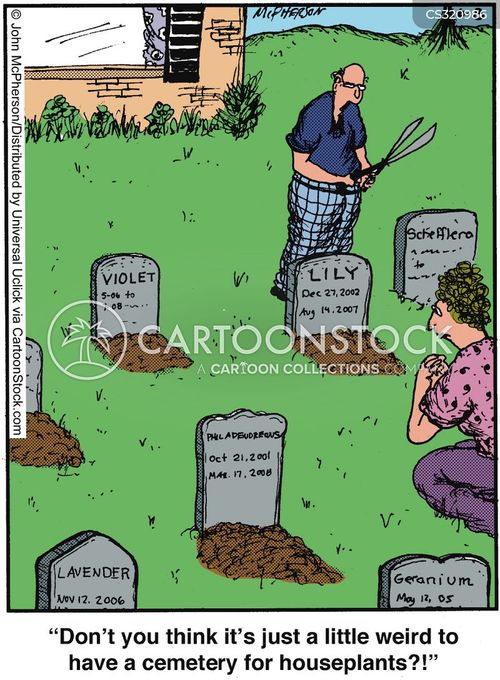 Cemetery Mapping Cartoons and Comics - funny pictures from CartoonStock