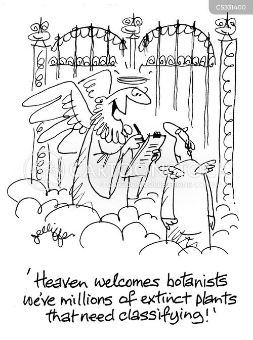 Classification Cartoons and Comics - funny pictures from CartoonStock