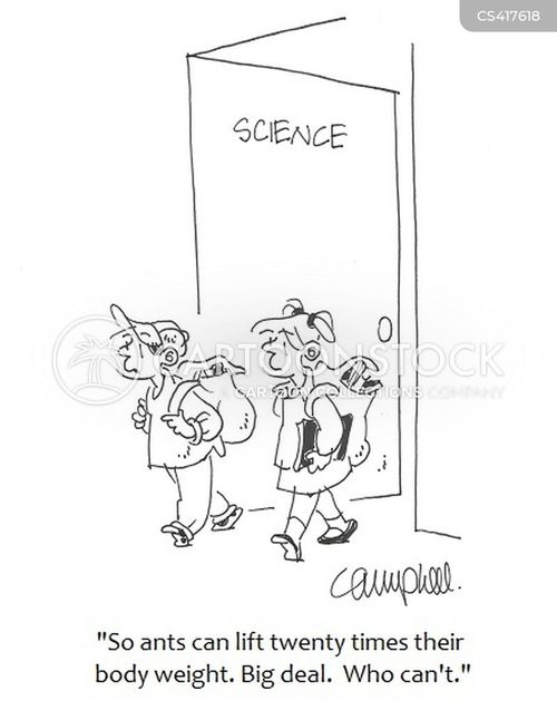 Body Weight Cartoons and Comics - funny pictures from CartoonStock