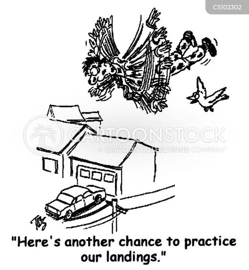Flying Lessons Cartoons and Comics - funny pictures from CartoonStock
