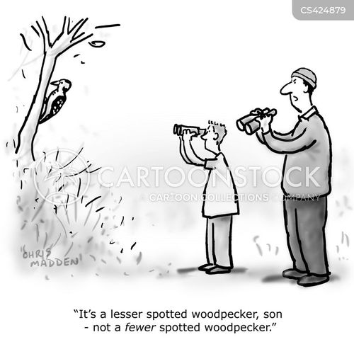 Bird-watcher Cartoons and Comics - funny pictures from CartoonStock