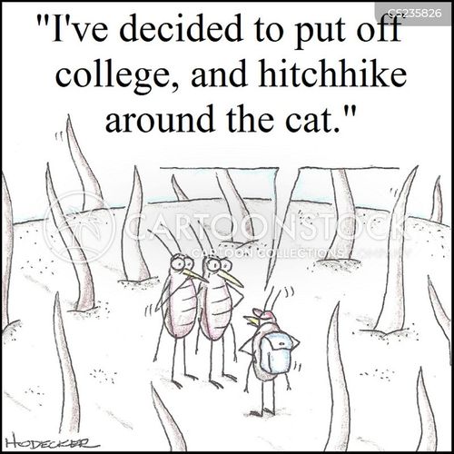 Fleas Cartoons and Comics - funny pictures from CartoonStock