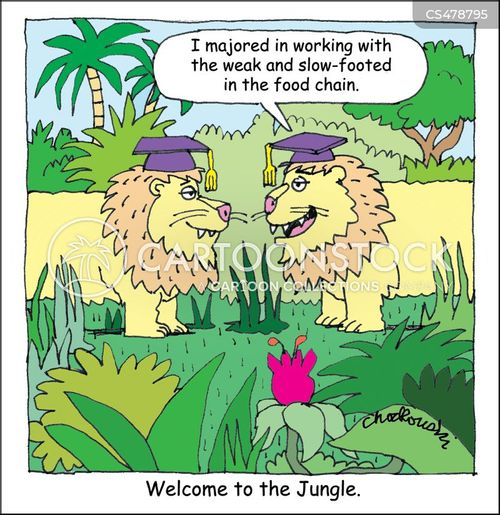 College Major Cartoons and Comics - funny pictures from CartoonStock