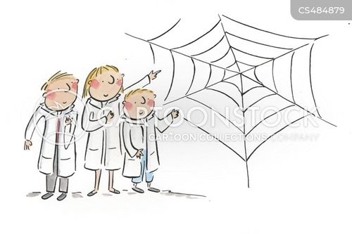 Spiderweb Cartoons and Comics - funny pictures from CartoonStock