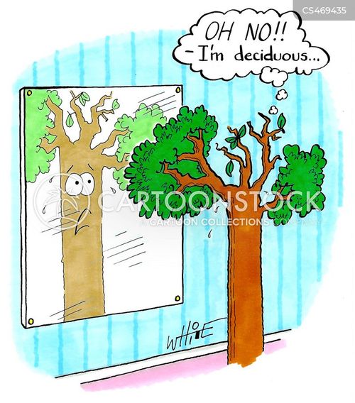Sapling Cartoons and Comics - funny pictures from CartoonStock