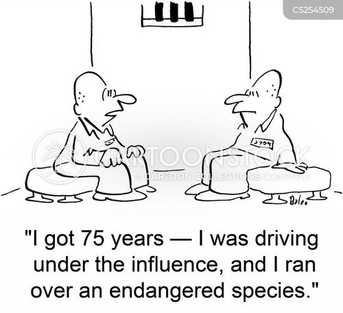 Illegal Turn Cartoons and Comics - funny pictures from CartoonStock