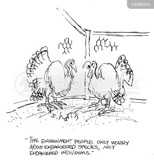 Endangered Turkeys Cartoons and Comics - funny pictures from CartoonStock