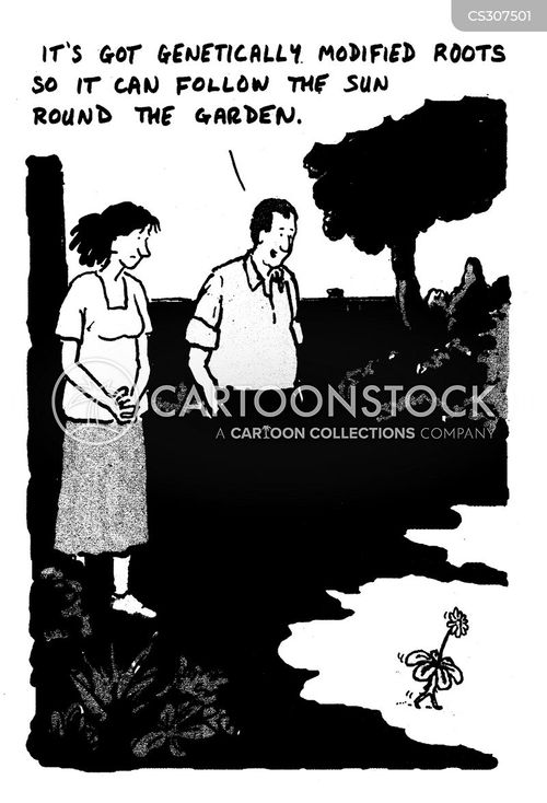Plant Roots Cartoons and Comics - funny pictures from CartoonStock
