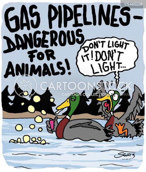 Pipelines Cartoons and Comics - funny pictures from CartoonStock