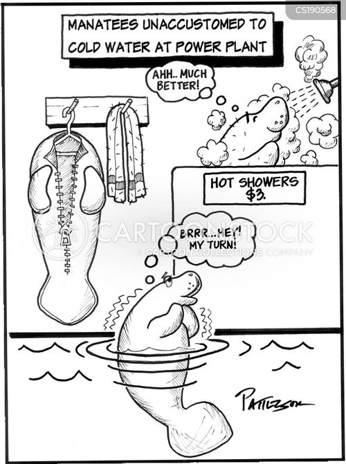 Manatee Cartoons and Comics - funny pictures from CartoonStock
