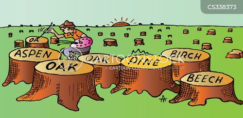 Tree Stump Cartoons and Comics - funny pictures from CartoonStock