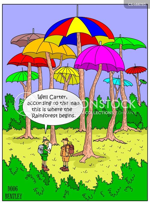Canopy Cartoons and Comics - funny pictures from CartoonStock