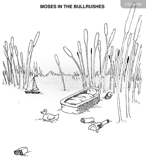 Bullrushes Cartoons and Comics - funny pictures from CartoonStock