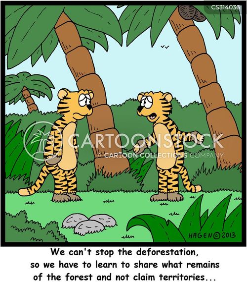 Wild Cat Wild Cats Cartoons and Comics - funny pictures from CartoonStock