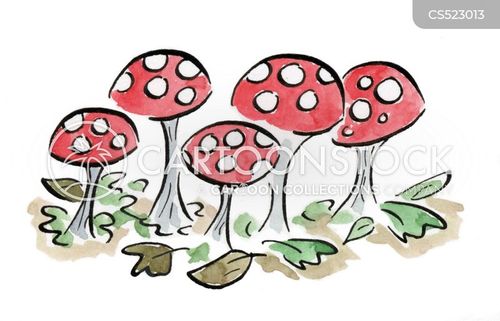 Toadstool Cartoons and Comics - funny pictures from CartoonStock