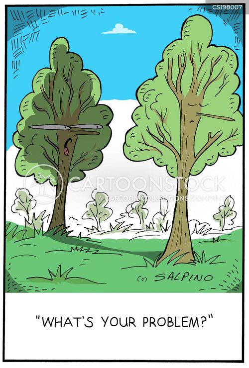 Shade Tree Memes