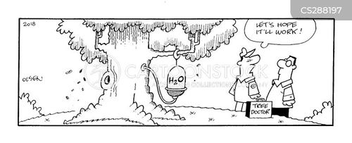 Tree Doctors Cartoons and Comics - funny pictures from CartoonStock