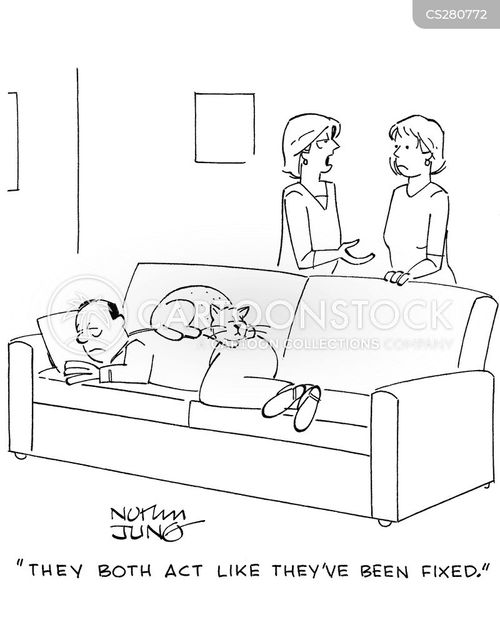Pet Neutering Cartoons and Comics - funny pictures from CartoonStock