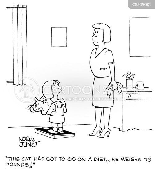Overweight Cat Cartoons and Comics - funny pictures from CartoonStock