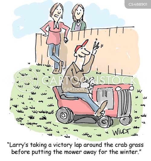 Victory Lap Cartoons and Comics - funny pictures from CartoonStock