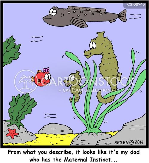 Seahorse Cartoons and Comics - funny pictures from CartoonStock