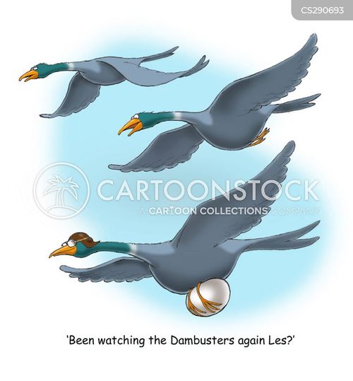 Dambusters Cartoons and Comics - funny pictures from CartoonStock