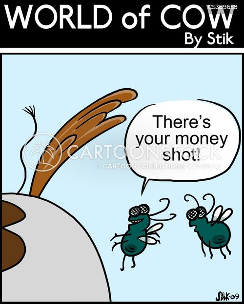 Cowpie Cartoons and Comics - funny pictures from CartoonStock