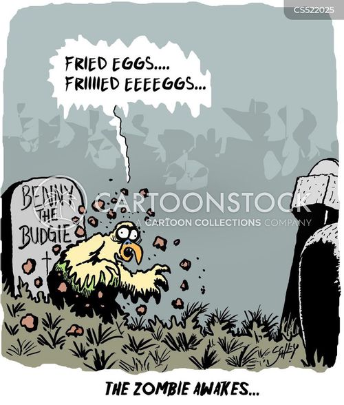 Fried Egg Cartoons and Comics - funny pictures from CartoonStock