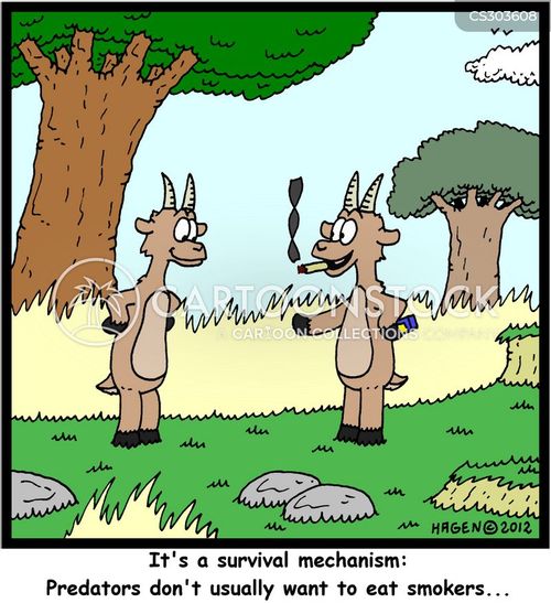 Defence Mechanism Cartoons and Comics - funny pictures from CartoonStock