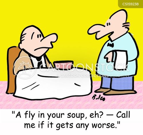 Fly In Soup Cartoons and Comics - funny pictures from CartoonStock