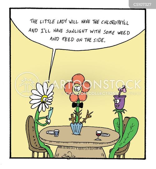 Flower Food Cartoons and Comics - funny pictures from CartoonStock