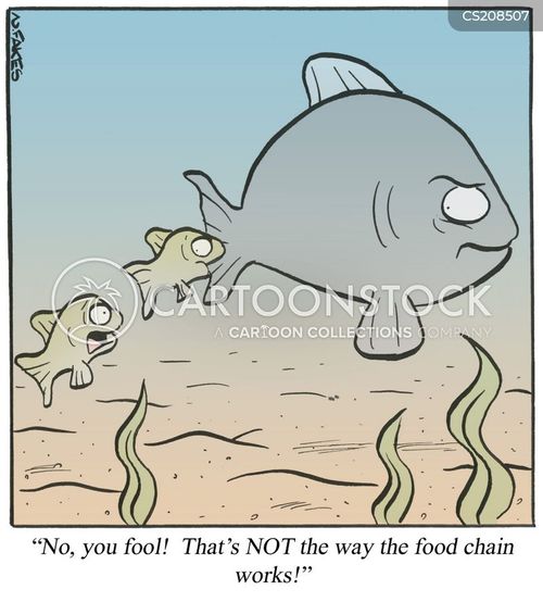 Oceanic Food Web Cartoons and Comics - funny pictures from CartoonStock
