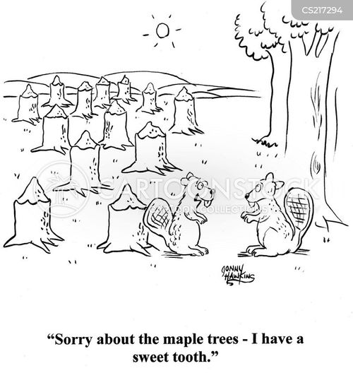 Maple Tree Cartoons and Comics - funny pictures from CartoonStock