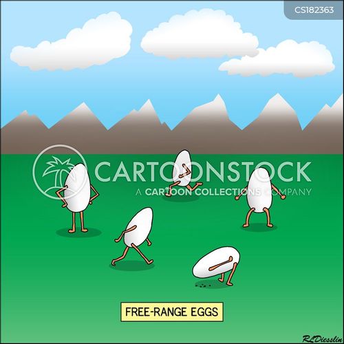 Chicken Cartoons Cartoons and Comics - funny pictures from CartoonStock